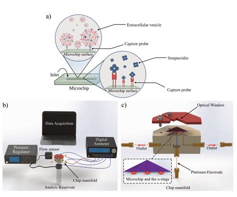 A Microchip Based Electrokinetic Biosensor For Profiling Of