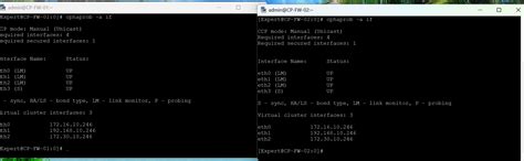 Clusterxl Alert Check Point Checkmates