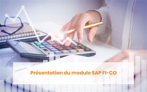 Sap Fi Co Présentation Des Modules Fi Et Co De Lerp Sap