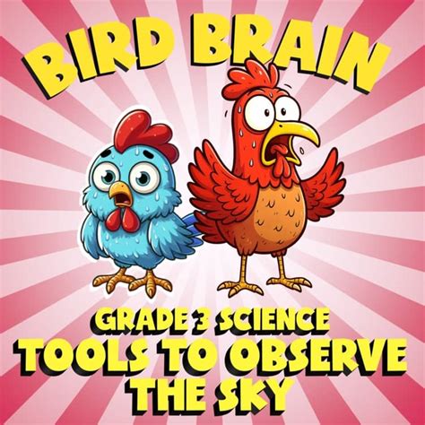 Tools To Observe The Sky Bird Brain Science Game No Prep Grade 3 Review