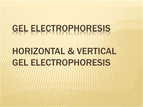 Single Strand Conformation Polymorphism Pptx