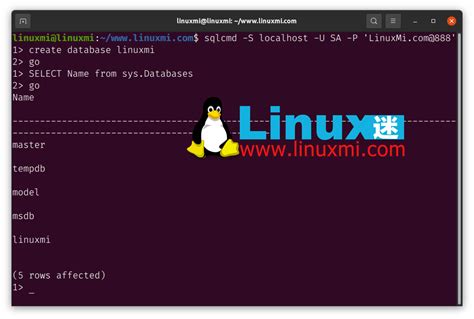 如何在 Ubuntu 上安装 Sql Server 和 Sql Server Cli 工具 Linux迷