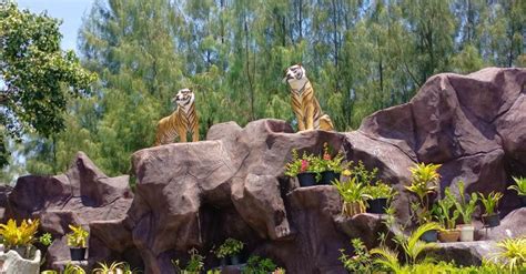 รวมรูปภาพของ วัดดอนขนาก นครปฐม พญานาค 9 ตระกูล พิกัดสายมูใกล้กรุง รูปที่ 13 จาก 18