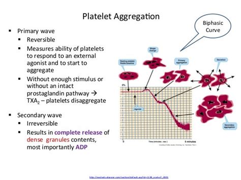 Lecture 5 Fall 2014 Pdf