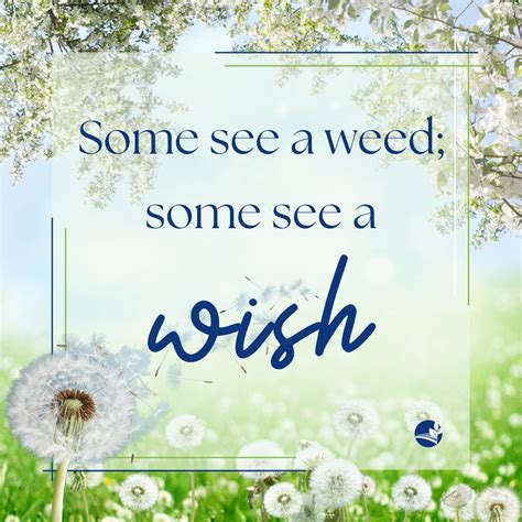shawn cutter 🌱 on linkedin beauty
