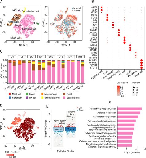 Cell Type Landscape Of Tumorous And Matched Normal Prostate Tissues Download Scientific Diagram