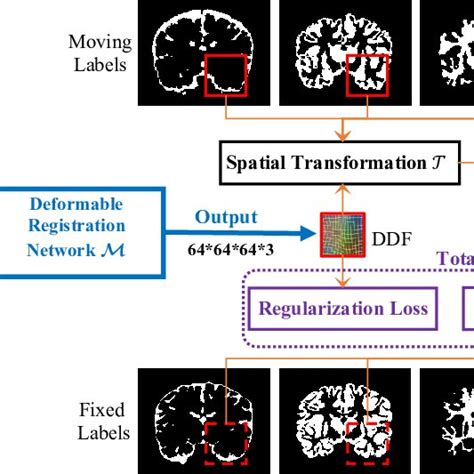 Framework Of The Proposed Deformable Image Registration Scheme Which