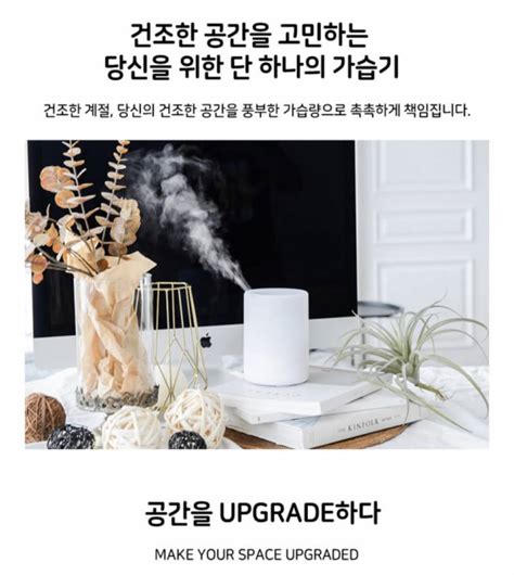 나 가습기 좀 골라죠 인스티즈 Instiz 일상 카테고리