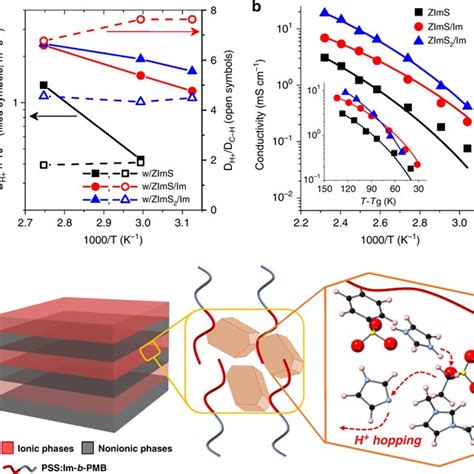 Proton Transport Properties A Proton Diffusion Coefficients B Ionic