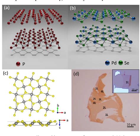 Figure 1 From Pdse2 Pentagonal Two Dimensional Layers With High Air