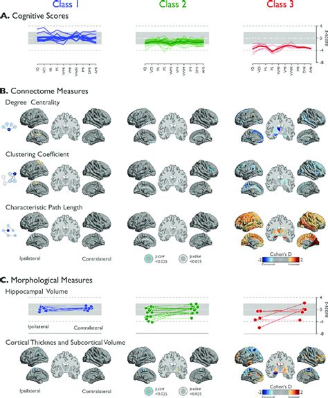 Differences By Cognitive Class A Cognitive Scores For TLE Patients By Download Scientific
