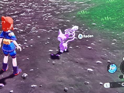 8 Multiple Outbreak Shiny Glameow While Searching For Hisuian Forms