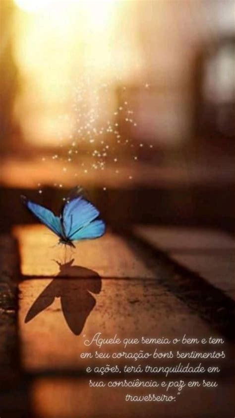 17 Ideias De Ciclos Para Salvar Hoje Frases Inspiracionais