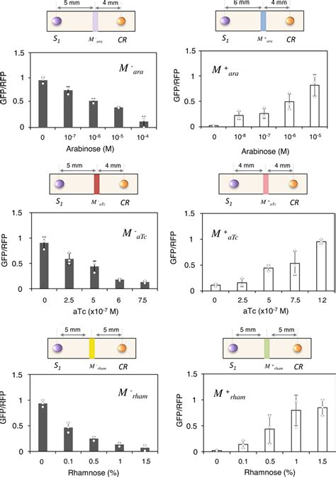Relationship Between Input And Output In Transistor Like Download Scientific Diagram