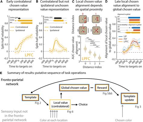 Learning Attentional Templates For Value Based Decision Making Cell