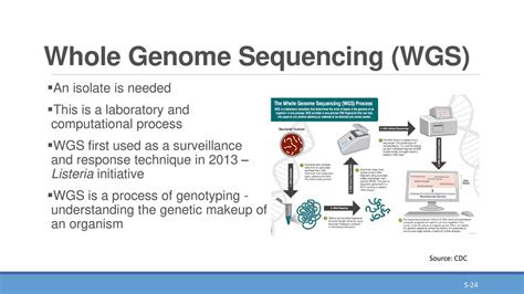 Laboratory Investigation Ppt Download