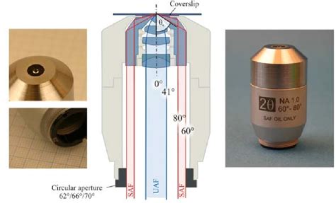 Figure 1 From Simultaneous Near Field And Far Field Fluorescence