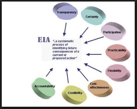 UNDERSTANDING AN EIA Pen Print Open Access Educational Contents
