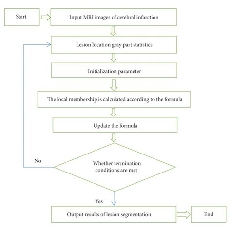 Sffcm Algorithm Segmentation Flow Chart Of Cerebral Infarction