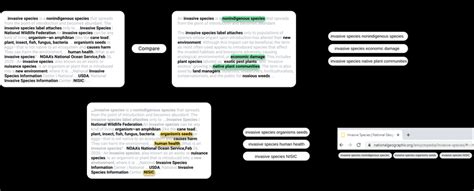 noun phrases extraction from serps and notes bold text the