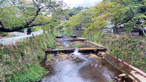 こもりあやみ Ayami Setron Twilog ツイログ