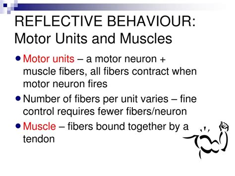 Ppt Topic 6 The Sensorimotor System Powerpoint Presentation Free