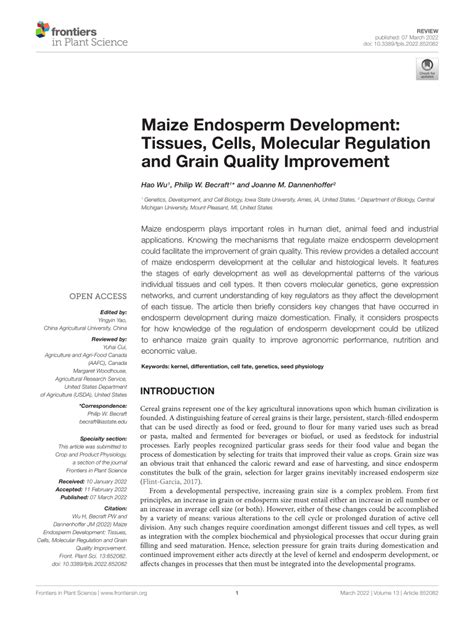 Pdf Maize Endosperm Development Tissues Cells Molecular Regulation