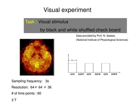 ppt analysis of fmri data based on nn arx modeling powerpoint