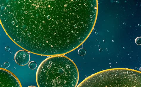 Designed Polymer Particle Architectures For Waterborne Acrylic Pressure Sensitive Adhesives