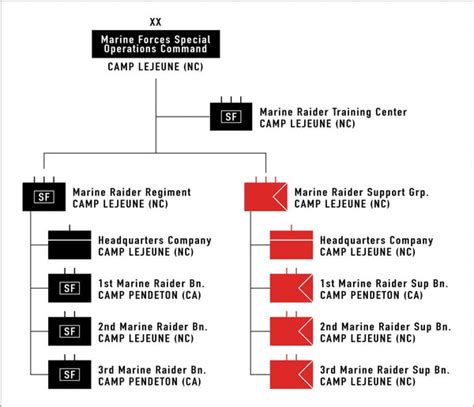 The Beginners Guide To The U S Marine Raiders Marsoc General