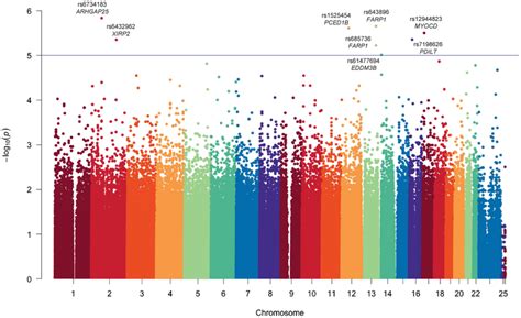 Manhattan Plot Of Genome Wide Significance In The Development Set Plot
