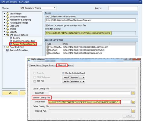 How To Install Sap Logon Ini File Mojolsa