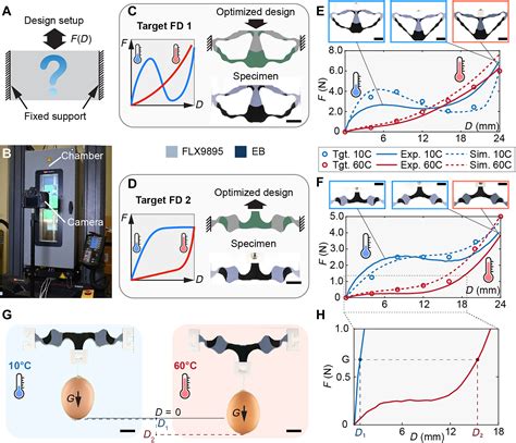 Algorithmic Encoding Of Adaptive Responses In Temperature Sensing Multimaterial Architectures