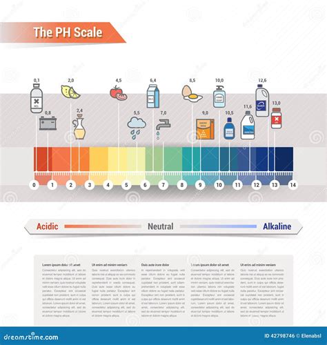 The Ph Scale Stock Vector Illustration Of Cosmetics 42798746