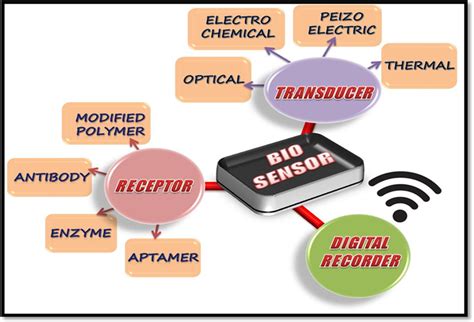 Schematic Of Biosensor And Its Associated Components Download Scientific Diagram
