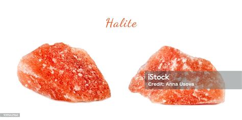 천연 보석의 매크로 촬영입니다 원시 미네랄 암 염 파키스탄입니다 흰색 배경에 고립 된 개체 Stem 주제에 대한 스톡 사진 및 기타 이미지 Istock