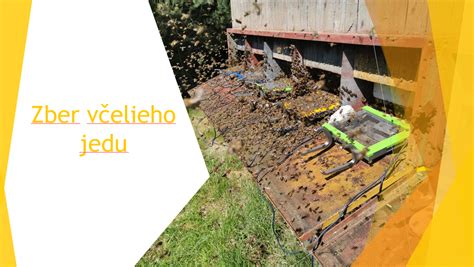 Prezentácia Včelí Jed Apitoxinsk