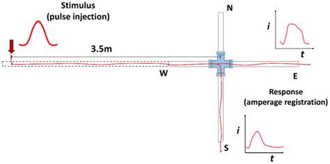 Tracer Injection And Registration Points Download Scientific Diagram