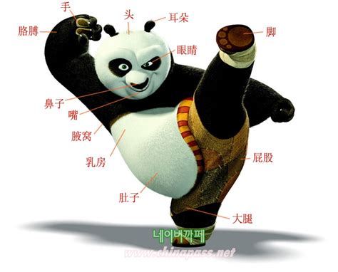 우리몸의 부위별 이름을 중국어로 하면 중국어 신체 부위 명칭 네이버 블로그