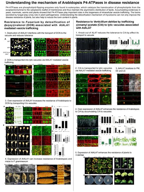 裴炎团队科研课题及成果 生物技术中心