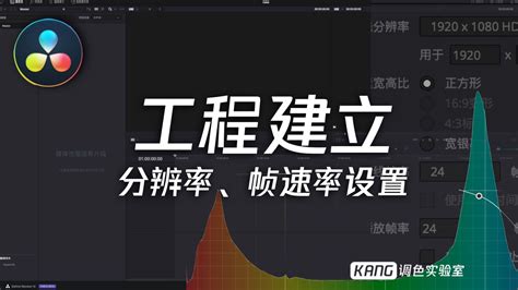 达芬奇工程建立 哔哩哔哩