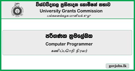 computer programmer university grants commission job vacancies 2024