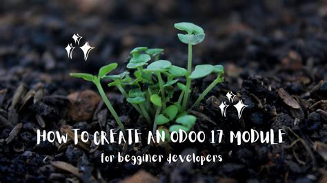 create a simple module odoo odoo 17 0 odoo beginner s guide