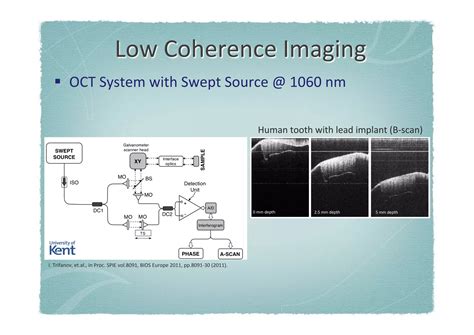 Low Coherence Interferometry From Sensor Multiplexing To Biomedical