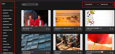 Motion Array Review 2024 One Stop Shop For Creative Resources