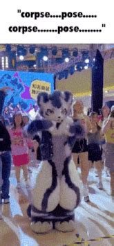 Unwound Furry  Unwound Furry Furry Dancing Discover And Share S