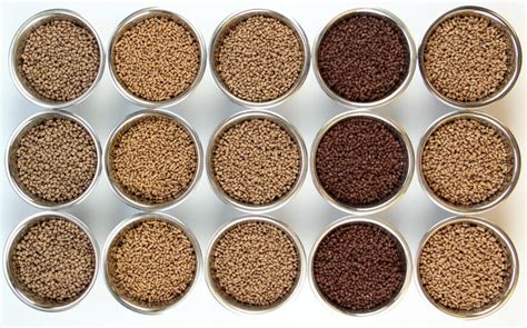 Aller Aqua Launches New Ras Optimized Feed Technology Hatchery