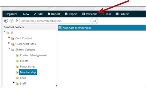 Reverting To An Earlier Version Of A Content Record