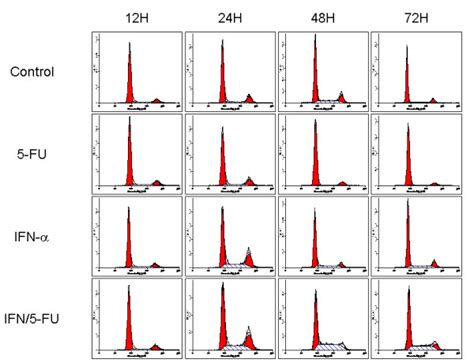 Flow Cytometric Analysis Of Cell Cycle Progression In Huvec Cells Download Scientific Diagram