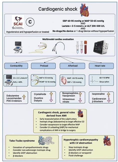 The Heart 🔴 The Medical Treatment Of Cardiogenic Shock Openaccess